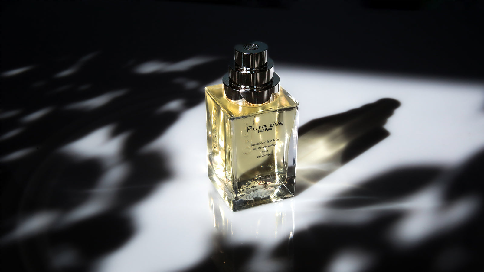 THE DIFFERENT COMPANY– The Different Company